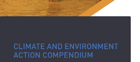 Compendium front page - ICVA